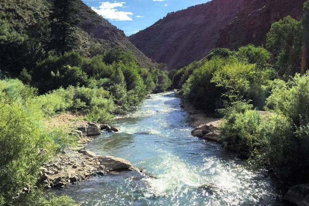 10 Best Rivers and Streams for Fly Fishing in New Mexico - Where to FIsh NM