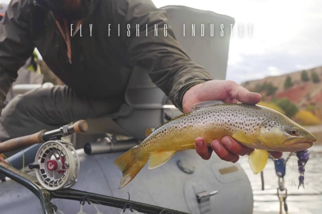 2025 Fly Fishing Industry Statistics & Facts