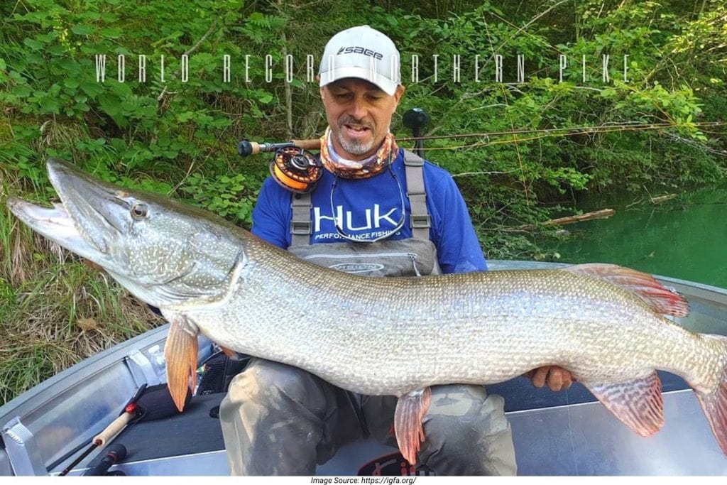 What Is The World Record Northern Pike?