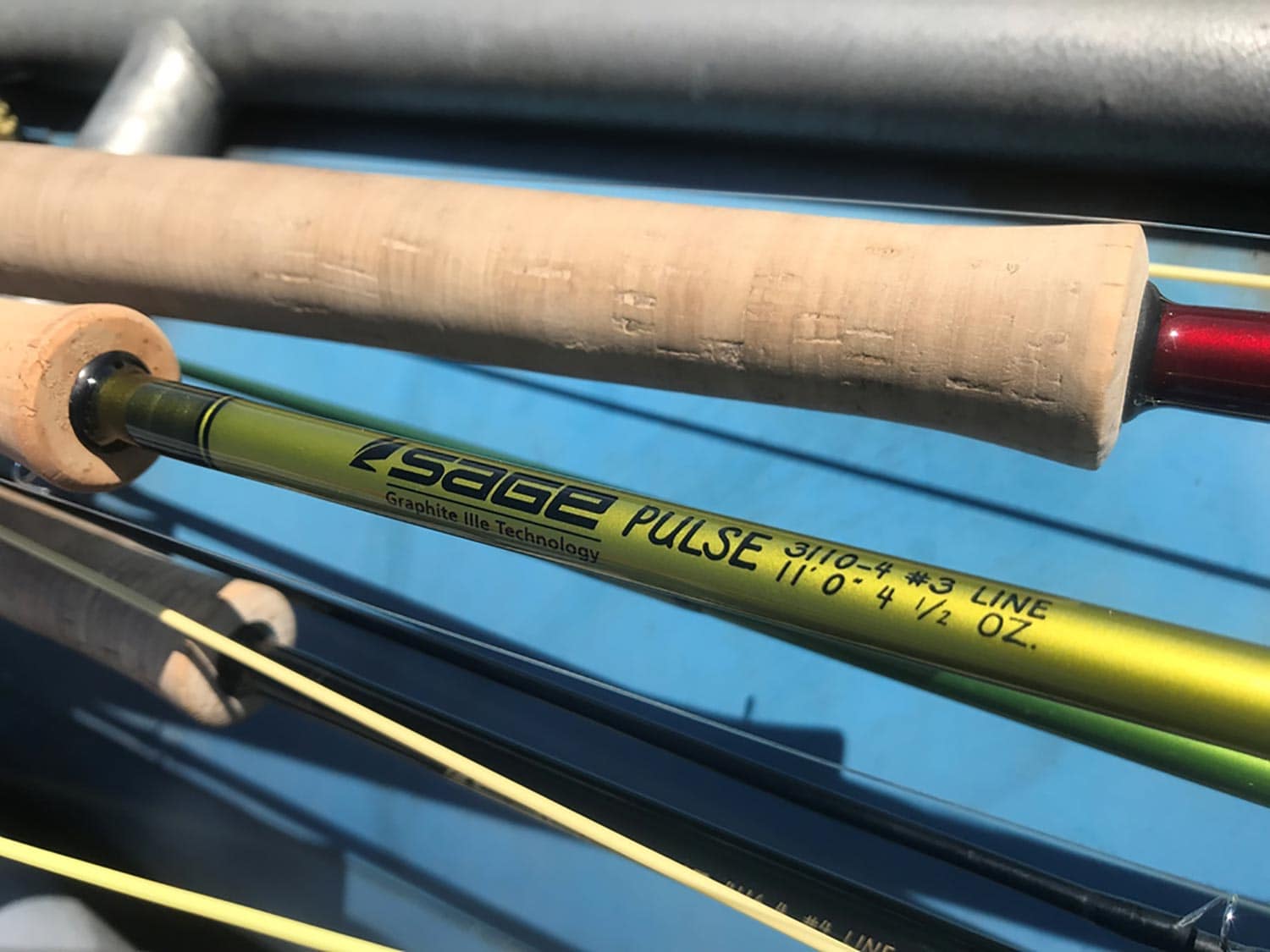 Sage Pulse Review in 2025 - Fly Rods