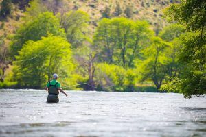 Fly Rod Weights Explained - Complete Guide