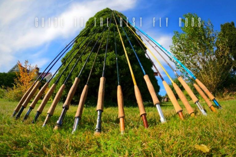 The 6 Best Fishing Watches in 2026 - Buyers Guide