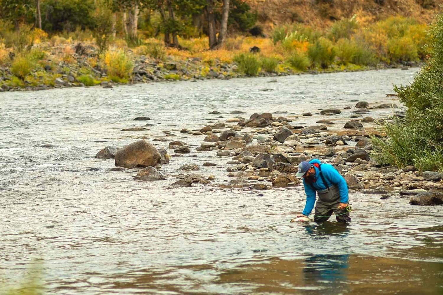 Sage Pulse Review in 2025 - Fly Rods