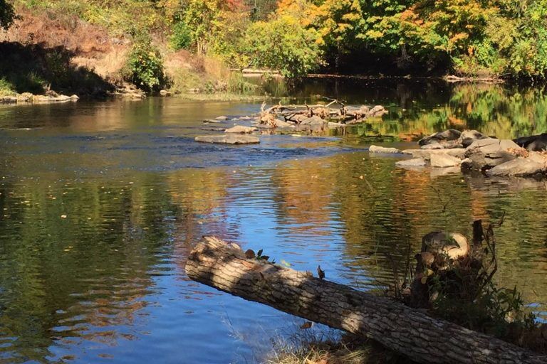 9 Best Places for Fly Fishing in Connecticut - Where to Fish CT