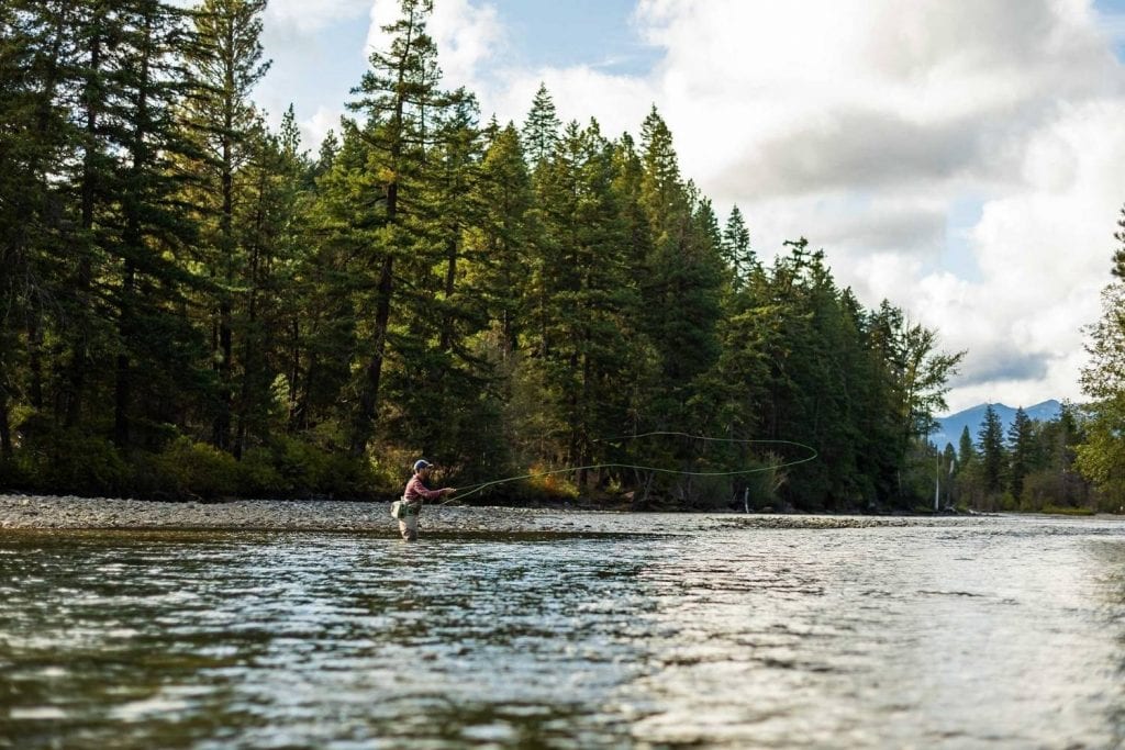 Best Fly Rods in 2026 - Rod Buyer's Guide