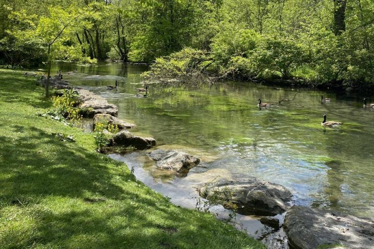 14 Best Places for Fly Fishing in Pennsylvania - Where to Fish PA
