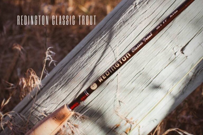 The 5 Best Fly Rods for Small Streams in 2026 - Buyers Guide